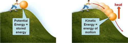 Potential and Kinetic Energy | Work & Energy Quiz - Quizizz